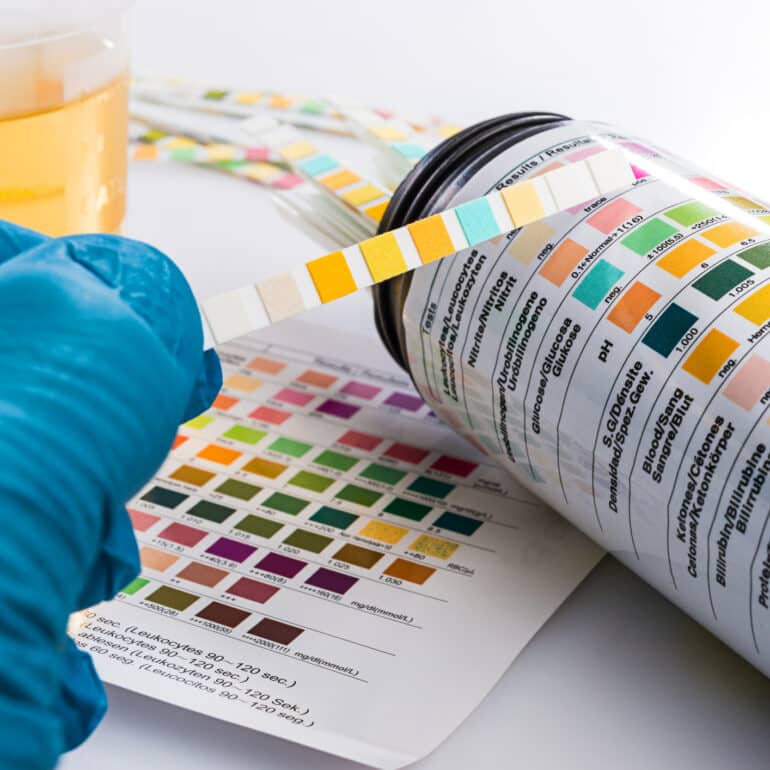 Das Übersetzungsdilemma – Intended use vs. Intended purpose